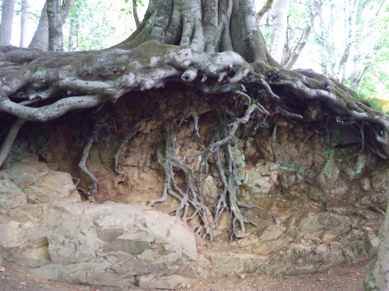 Aden Country Park – Love Aberdeenshire