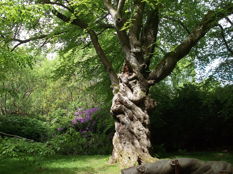 Aden Country Park – Love Aberdeenshire