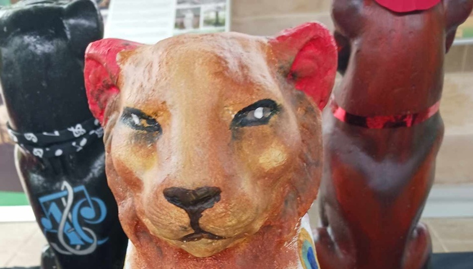 cat parade – Love Aberdeenshire